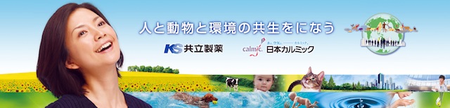 Calmic new ad – Mika Sakamoto -Around the World-